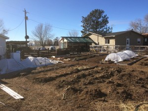 Production | SPIN-Farming – A New Way to Learn to Farm | Page 2