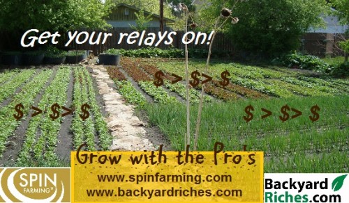 advice for beginners | SPIN-Farming – A New Way to Learn to Farm