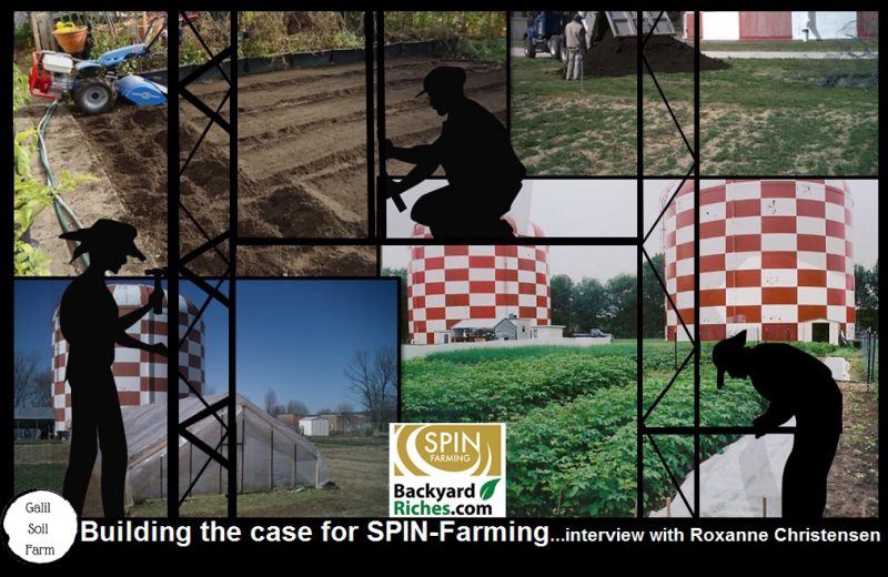 Interview: Building the Case for SPIN-Farming - Grow food. Make money