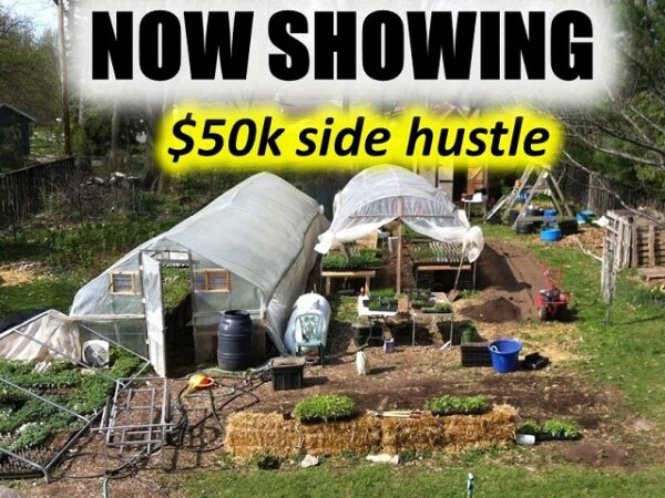 Grow food. Make money - Learn SPIN-Farming